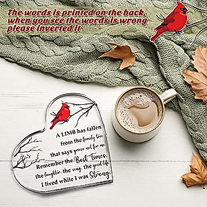 Cardinal Sympathy Gift Red Gifts Decor Memorial Bereavement Gift Crystal Acrylic Glass Heart Memorial Gift Condolence Gift for Loss of Loved One Table Remembrance Decoration Grieving Gift, 6 x 6 Inch
