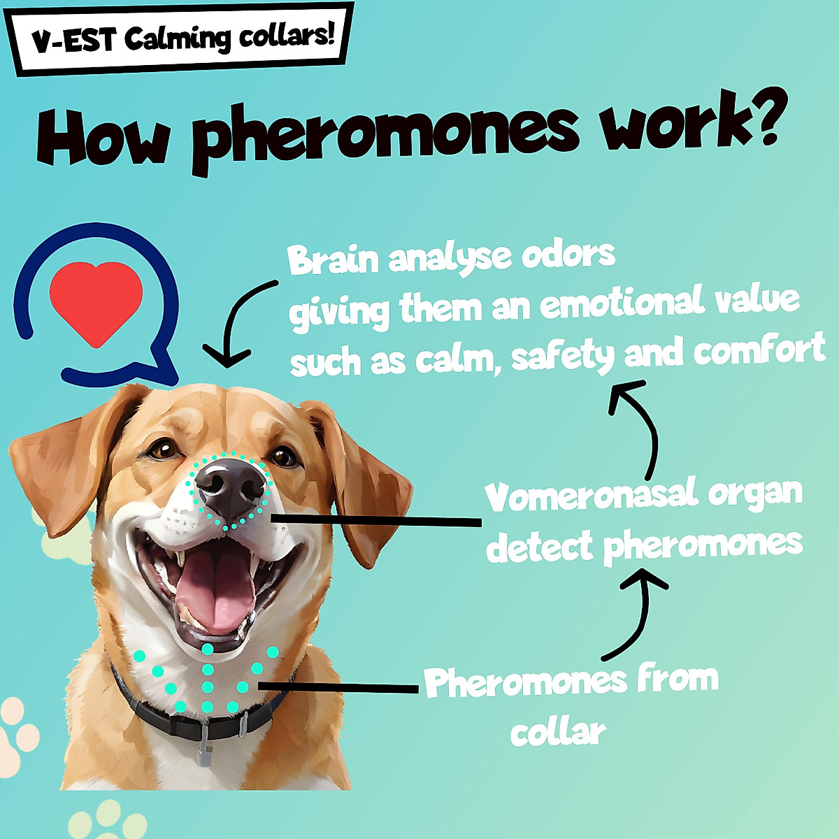 V-EST Calming Collar for Small Dogs and Cats with Pheromones, Reduce Separation Anxiety, 60-Day, Adjustable Size 15in Black