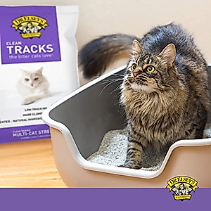Dr. Elsey's Premium Clumping Cat Litter - Clean Tracks - Low Dust, Low Tracking, Hard Clumping, Superior Odor Control, Unscented & Natural Ingredients 40 LBS