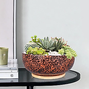 Fivepot 10 Inch Terracotta Succulent Planter Pot with Drainage Hole and Bamboo Tray Round Shallow Bonsai Pot for Indoor Plants