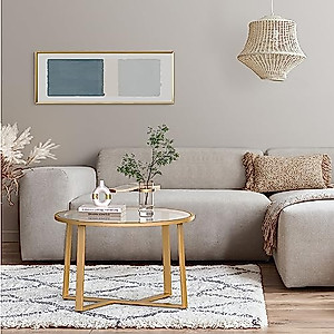 Evajoy Round Glass Coffee Table, 27.6" Gold Coffee Table with Tempered Clear Glass Surface for Living Room, Simple & Modern Center Circle Coffee Table for Small Space, Easy Assembly