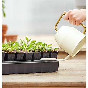 Burpee Self-Watering Seed Starter Tray, 72 Cells