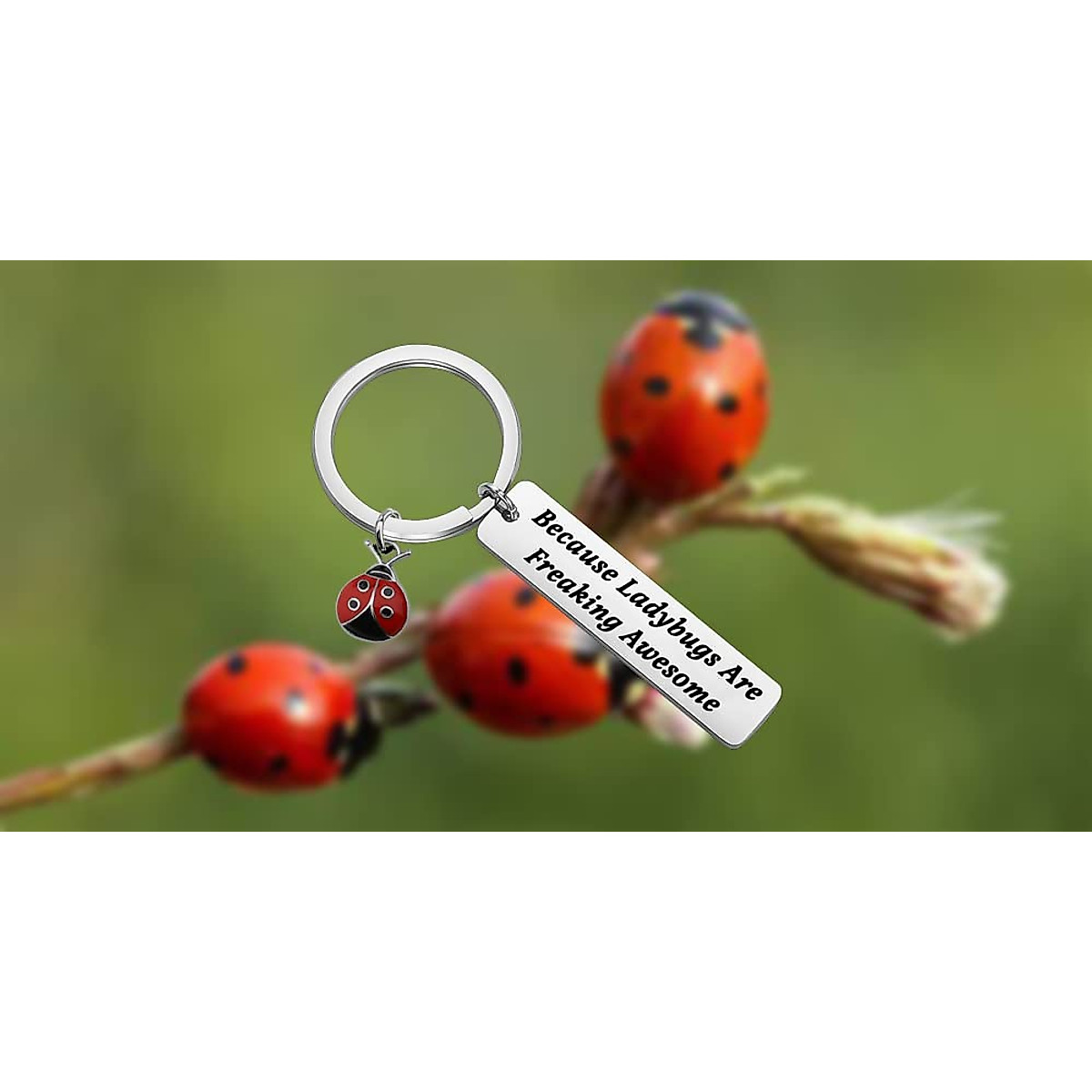 HOLLP Ladybug Jewelry Lady Beetle Gift Because Ladybugs Are Freaking Awesome Keychain for Gardener (Because Ladybugs)