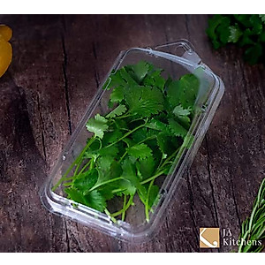 JA Kitchens 2 Ounce Large Herb Clamshell Container - Disposable - Pack of 20