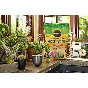 Miracle-Gro Cactus, Palm & Citrus Potting Mix, 8 qt.