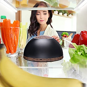 Refrigerator Deodorizer, Perfect for Home, Cars, Office, Tent, Pet Room
