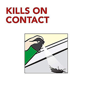 Raid House and Garden Aerosol 11 Ounce (Pack of 6)