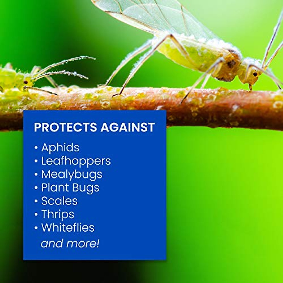 BioAdvanced Plant Food Insect Control Spikes, 10 Spikes