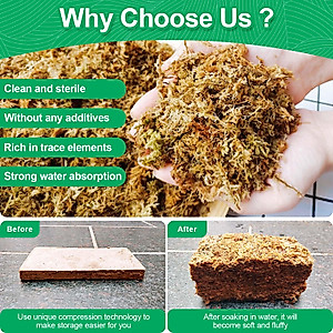 Mostopiaryart Sphagnum Moss Perfect for Plant Propagation, Extremely Strong Water Absorption Ability, Help with Maintain Humidity(3.5OZ)