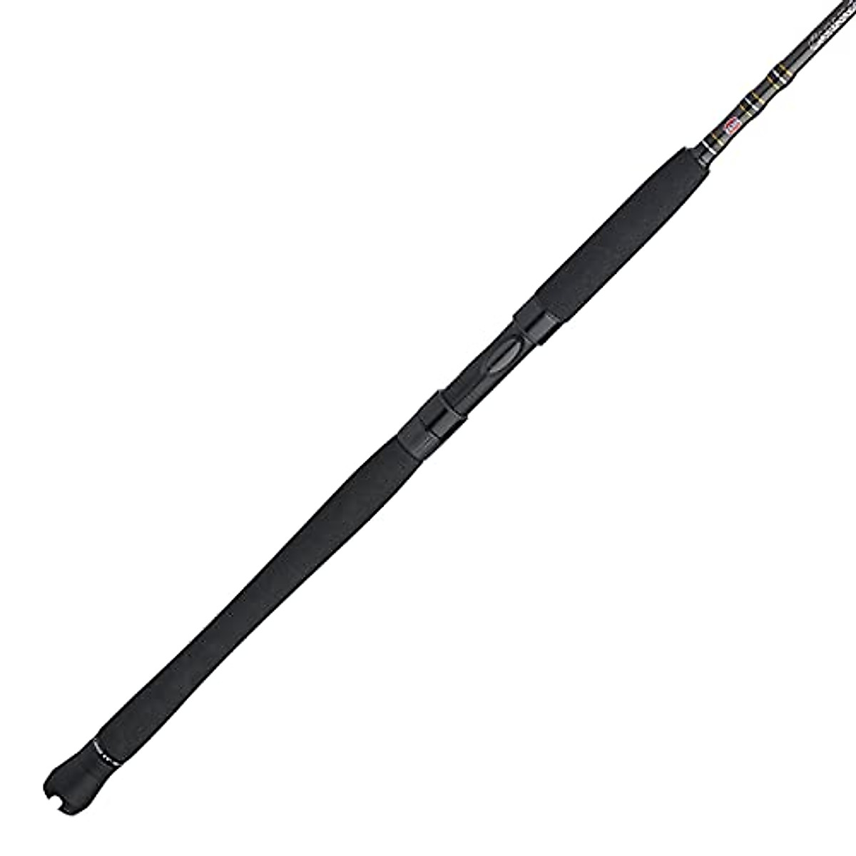 PENN Carnage III Inshore Spinning Fishing Rod