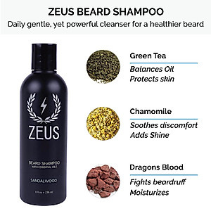 ZEUS Starter Beard Wash & Grooming Kit, Beard Brush & Beard Wash Combo Gift Set for Men (Sandalwood)