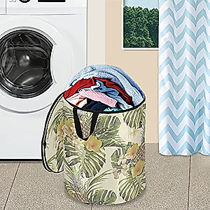 ALAZA 50 L Folding Pop-Up Clothes Hampers, Tropical Flowers Pineapple Palm Leaf Monstera Laundry Basket for Room, College Dorm or Travel