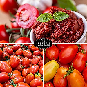 Survival Garden Seeds Paste Tomato Collection - Roma and San Marzano Tomato Seeds for Planting in The Garden - Non-GMO Heirloom Varieties