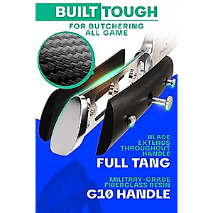 Dalstrong Bull Nose Butcher Knife - 14 inch - Gladiator Series Elite - High Carbon Premium German Steel - Black G10 Handle - Meat BBQ Knife - Sheath Included - NSF Certified