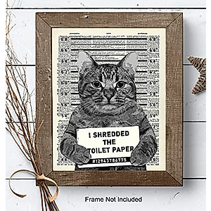 Guilty Cat Wall Decor - Cat Wall Art - Dictionary Art - 8x10 Humorous Poster, Mugshot Wall Art or Home Decoration for Bathroom, Bath - Funny Gag Gift for Cat Lovers - Upcycled Picture Photo Print