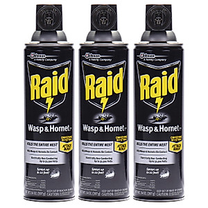 Raid Wasp & Hornet Killer Spray (14 Ounce (Pack of 3)