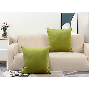 TangDepot Set of 2 Velvet Throw Pillow Covers, Super Soft, Euro Pillowcases - (24x24 Inch 2 Pieces, G01 Olive Green)