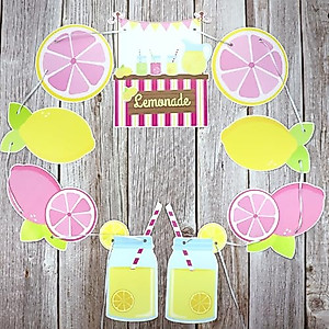 Lemonade Stand Decorations - Lemonade Banner, Lemonade Stand Sign, Lemon Straw for Kids Summer Bridal Shower Birthday Party Lemonade Stand Supplies