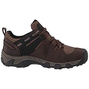 KEEN Men's Steens WP Hiking Shoe, Brown, 9.5