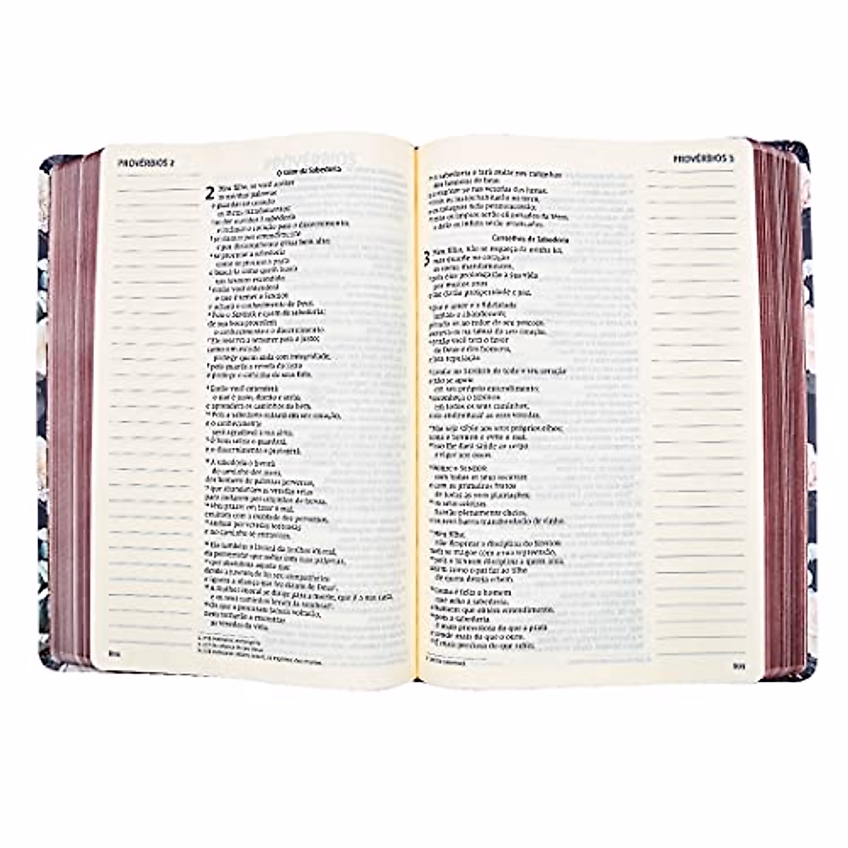 Bíblia NVI, Couro Soft, Rosas, Com Espaço para Anotações, Letra Grande