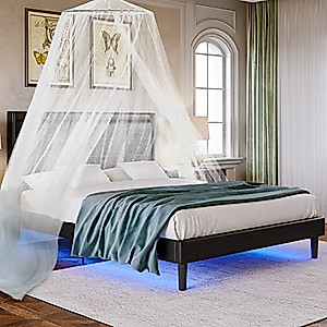 Upholstered LED Bed Frame Queen with Wing-Backed Headboard, PU Leather Queen Size Platform Bed Frame with LED Lights, Strong Wood Slats Support, No Box Spring Needed, Easy Assembly, Antique Black