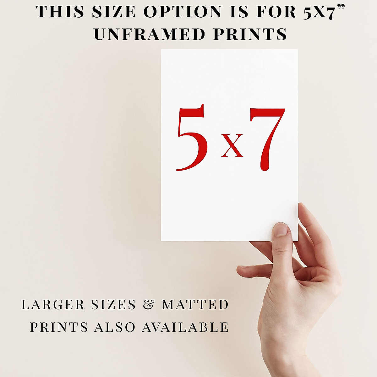 Lisa Russo Fine Art - Nature Wall Art - Botanical Flower Wall Decor Pictures - Shabby Chic Style - Set of 4 - Not Framed - Ivory, Tan, Beige (4 SMALL 5x7 Prints Only)