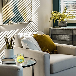 Citronella Candles Outdoor 2 Pack,16oz Large Citronella Candles Set Organic Soy Candles, Citronella Candles Indoor,Mason Jar Candles for Garden,Patio,Yard,Home Balcony,Backyard,Home, Summer Camping