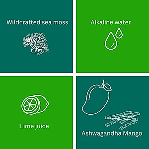 Sea Moss Gel Organic Ashwagandha Mango (25 Flavors) 24oz Wildсrafted Gold Sea Moss Gel from Saint Lucia | 92 Vitamins and Minerals | Pure Raw+Non-GMO