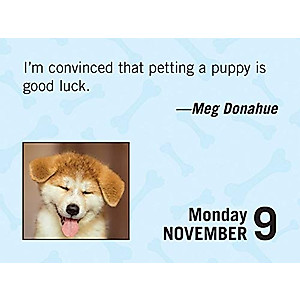 Puppies 2020 Mini Day-to-Day Calendar