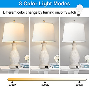 PARTPHONER A19 LED Light Bulbs, 60W Equivalent Efficient 9W LED Bulb, 3 Color Light Modes Light Bulbs, 900 Lumens, CRI 85+, 25000+ Hours Lifespan, Pack of 2