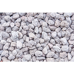 Horticultural Grade Pumice (2.5 Dry QUARTS) - Bonsai, Cactus, Succulent Soil Additive - Eliminate Root Rot - Ready to Use, by The Succulent Cult