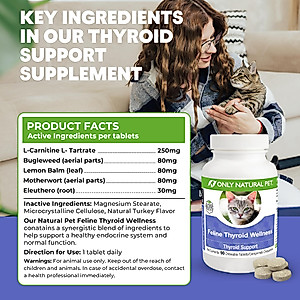 ONLY NATURAL PET Thyroid Support Supplement for Cats - Multivitamin with L-Carnitine & Lemon Balm - Vet Formulated - Helps with Endocrine & Immune Health - Turkey Flavored Chewable - 90 Tablets