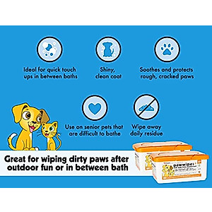 Petkin Paw Wipes Plus, 200 Orange Scented Wipes, 2 Pack - Absorbent Pet Paw Wipes Remove Daily Dirt & Odors - Enriched with Paw Balm Protectant -Easy to Use Pet Wipes for Dogs, Cats, Puppies & Kittens