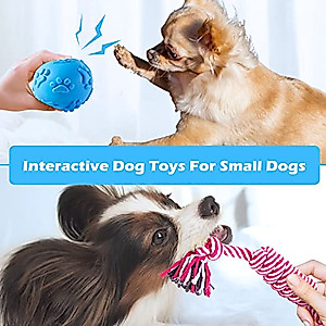 Heibizi Puppy Toys for Teething Small Dogs, Dog Toys for Small Dogs, Puppy Teething Chew Toys, Small Dog Toys Pack with Stuffed Squeaky Toys, Dog Ball, Ring Toy, Rope Toy