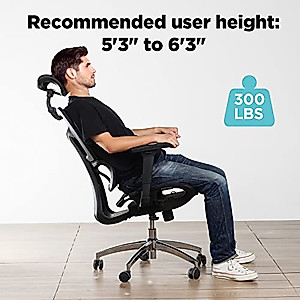 Kinna EK Ergonomic Office Chair, Home Office Mesh Chair with Adjustable 4D Headrest, 3D Armrest, Lumbar Support for Long Hours - High-Back Computer Chair with Tilt Function, 5-Year Warranty