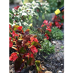 Pumpless Battery Powered Sprayer