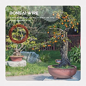 Happyyami 5 Rolls Bonsai Tool Set House Plants Indoors Live Bonsai Tree Training Wires Indoor Bonsai Tree Wire DIY Tools Small Trunks Training Wires Green Tie Branch Molding Line Aluminum