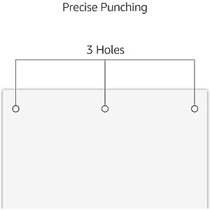 Amazon Basics 3 hole punch, 10 Sheet Capacity