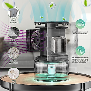 KIoudic Dehumidifier 2300 Cubic Feet (218 sq ft) Mini Dehumidifier for Damp Portable and Ultra Quiet Small Dehumidifier With Visual Water Tank for Basements, Home, Bedroom, Wardrobe Use