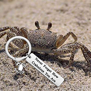ENSIANTH Crab Keychain Crab Lover Gift Never Forget How Crabulous You are Keychain Crab Jewelry for BFF Traveler Gift (never Crab Key)