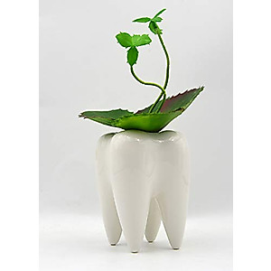 MONMOB Ceramic Tooth Shaped Pen Pencil Toothbrush Holder Pot Succulent Plant Pot Home Office School Dentists Gift (3.9")