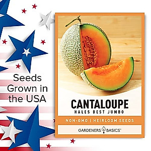 Cantaloupe Seeds for Planting - Hales Best Jumbo Heirloom, Non-GMO Vegetable Variety- 1 Gram Approx 45 Seeds Great for Summer Melon Gardens by Gardeners Basics