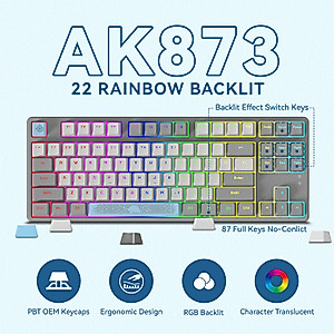 MAGIC-REFINER AK873 Gaming Keyboard,Rainbow Led Backlit,Hot-Swappable,PBT Keycap,75% TKL Layout,Ergonomic Mechanical Keyboard with Custom Coiled USB/Type-C Aviation Cable(Blue Grey/Brown Switch)