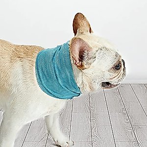 HonpraD Rubber Mats for Dogs Dissipation for Dogs Heat Bandana Breathable Collar Dog Bandana Pet Supplies Accessories Dog Puppies