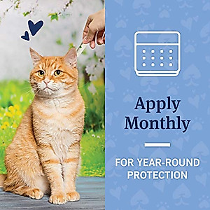 PetArmor Advanced 2 Flea Prevention for Large Cats, 6 Month Supply