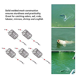 SPYMINNPOO Fishing Bait Cage, 5Pcs Fishing Bait Cages Lure Cage Stainless Steel Fishing Trap Basket Feeder Holder Vehiclemirror Other Fishing Tools and Accessories(M£©
