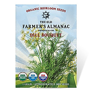 The Old Farmer's Almanac Organic Dill (Bouquet) Seeds - Approx 750 Seeds - Certified Organic, Non-GMO, Open Pollinated, Heirloom, USA Origin
