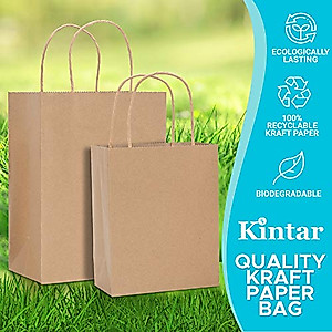 Brown paper bags with handles 100 pack 50pcs of 6.25"x3.5"x8" & 50pcs of 8"x4.5"x10.5" - paper bag, well made quality bags, brown bags with handles bulk, kraft paper bags bulk, small paper bags