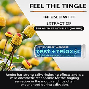 Xero Picks Wellness - Infused Flavored Toothpicks for Long Lasting Fresh Breath & Dry Mouth Prevention - 60 Picks - 3 Pack - Lavender Mint - Rest + Relax