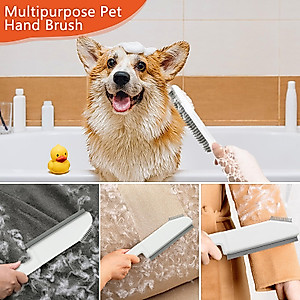 Loonpon Rubber Broom for Pet Hair Remover,63 inch Pet Hair Removal Broom with Squeegee,Rubber Fur Remover Brush for Fluff Carpet Hardwood Floor Tile Window